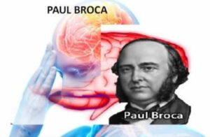 Línea del tiempo de la Psicología ️ Historia 🥇 ヾ( ﾍ ；)